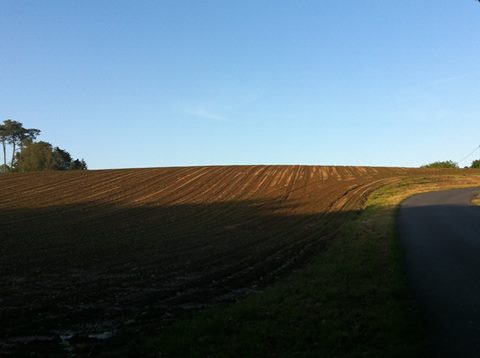 pouy | Mairie d'Arbonne